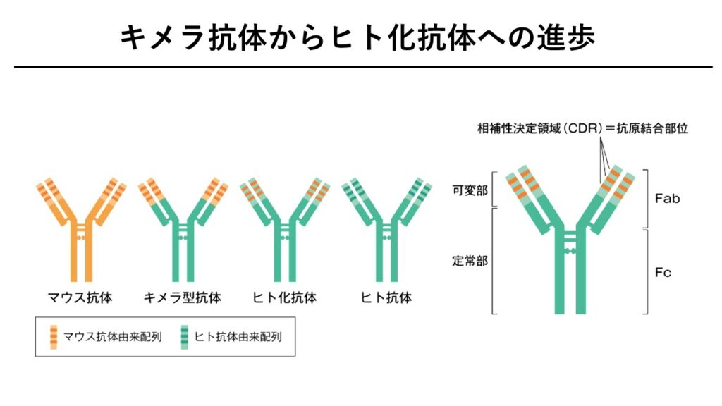 乾癬について(8) 21世紀での乾癬の抗体治療の進歩 | 医療法人翠真会 のえ皮フ科クリニック